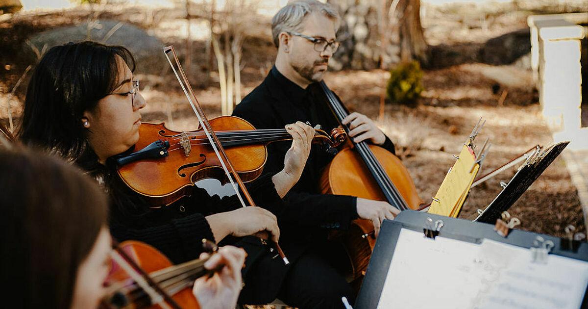 Discover the Magic of Live Musicians for Your Denver… | Sweet Harmony